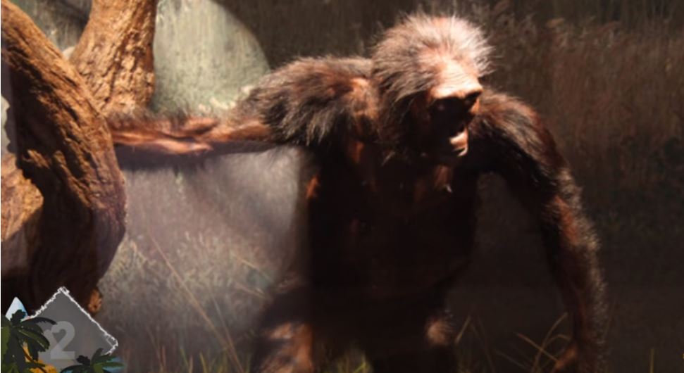 RMSO Bigfoot: Nine Cryptids in US Including Sasquatch on Epic Wildlife ...