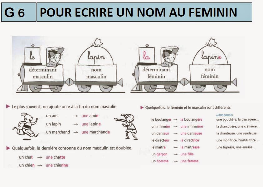 ISA FRENCH 2: G6 : POUR ECRIRE UN NOM AU FEMININ