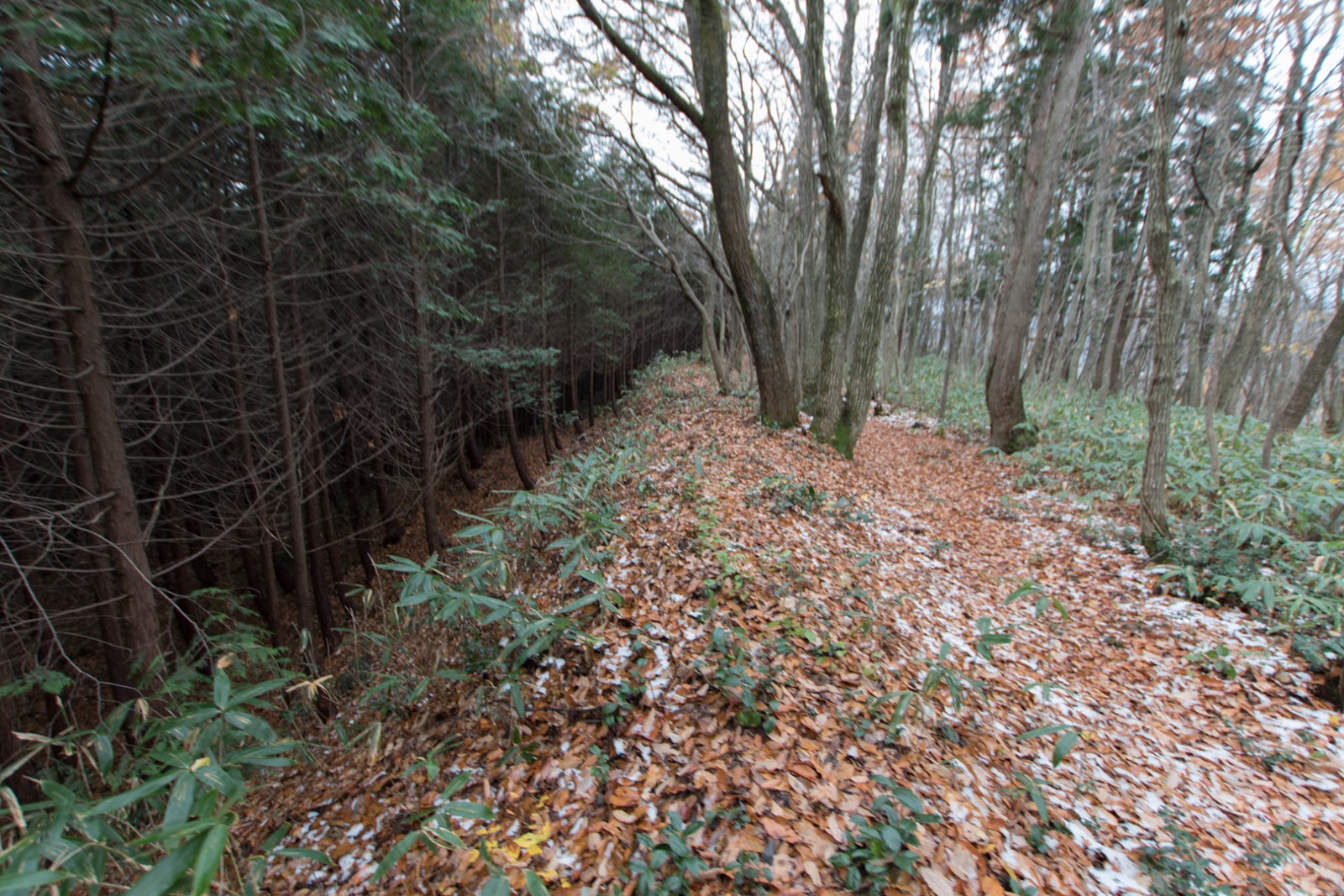 Obasawa Castle -Numerous dry moat defense line toward strong relative ...