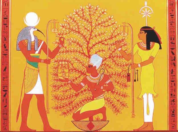 amudu: The Ished tree of ancient Egypt is a fantastic mystery.