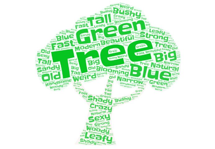 Word Cloud - Adjective [ESL Activity] - Someone's White Star