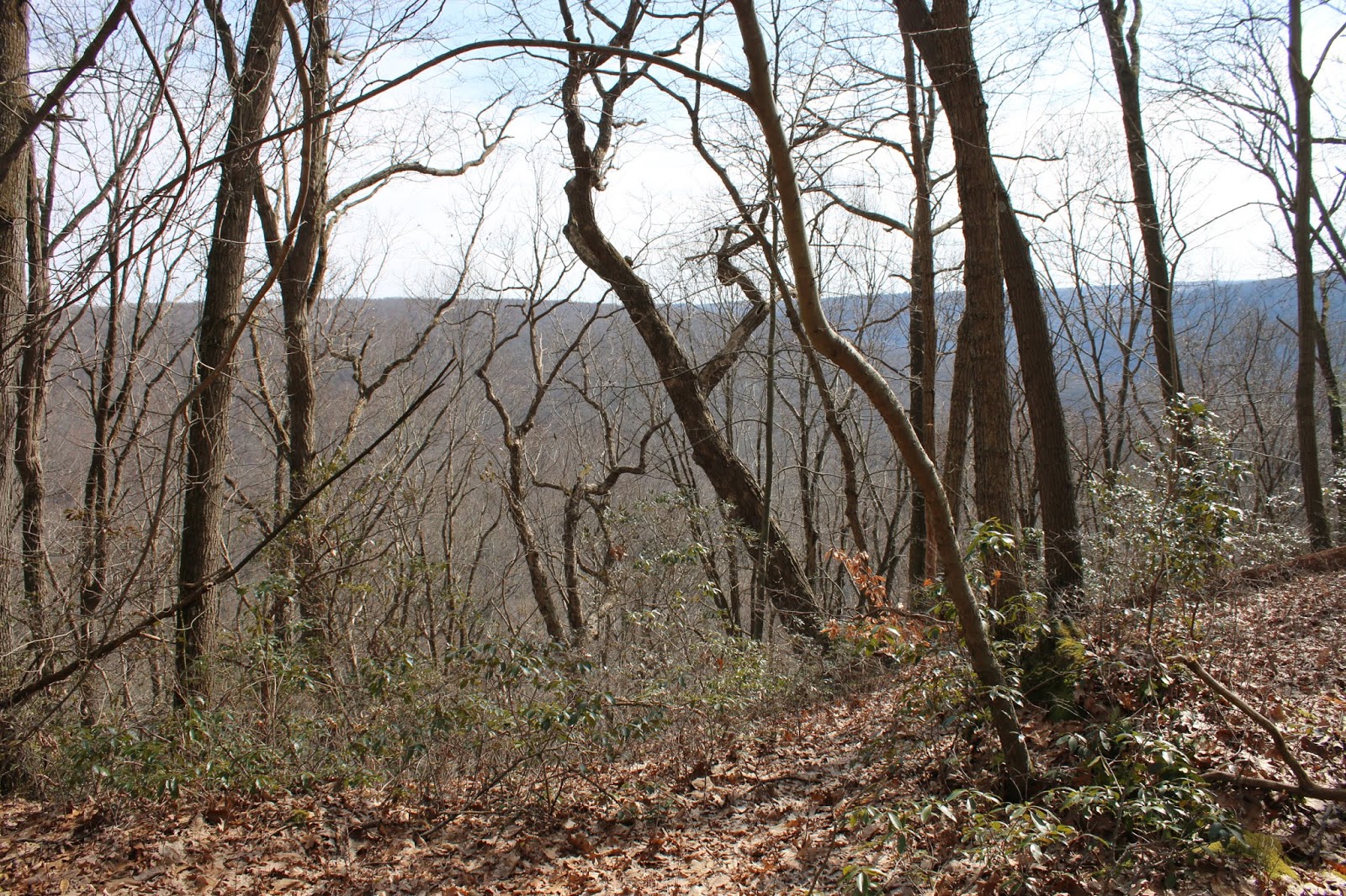 Hiking to Dennison Point Overlook & Allegheny River Gorge at the ...