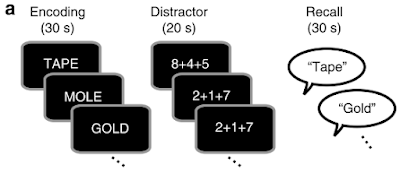 The Neurocritic: Automatically-Triggered Brain Stimulation during ...