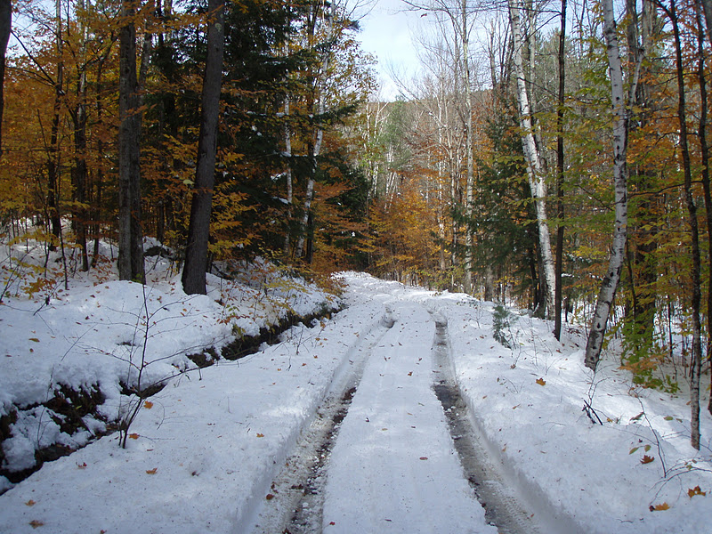 Moose Mountains Reservation Middleton, NH (SPNHF): MMR Burrows Field 10 ...