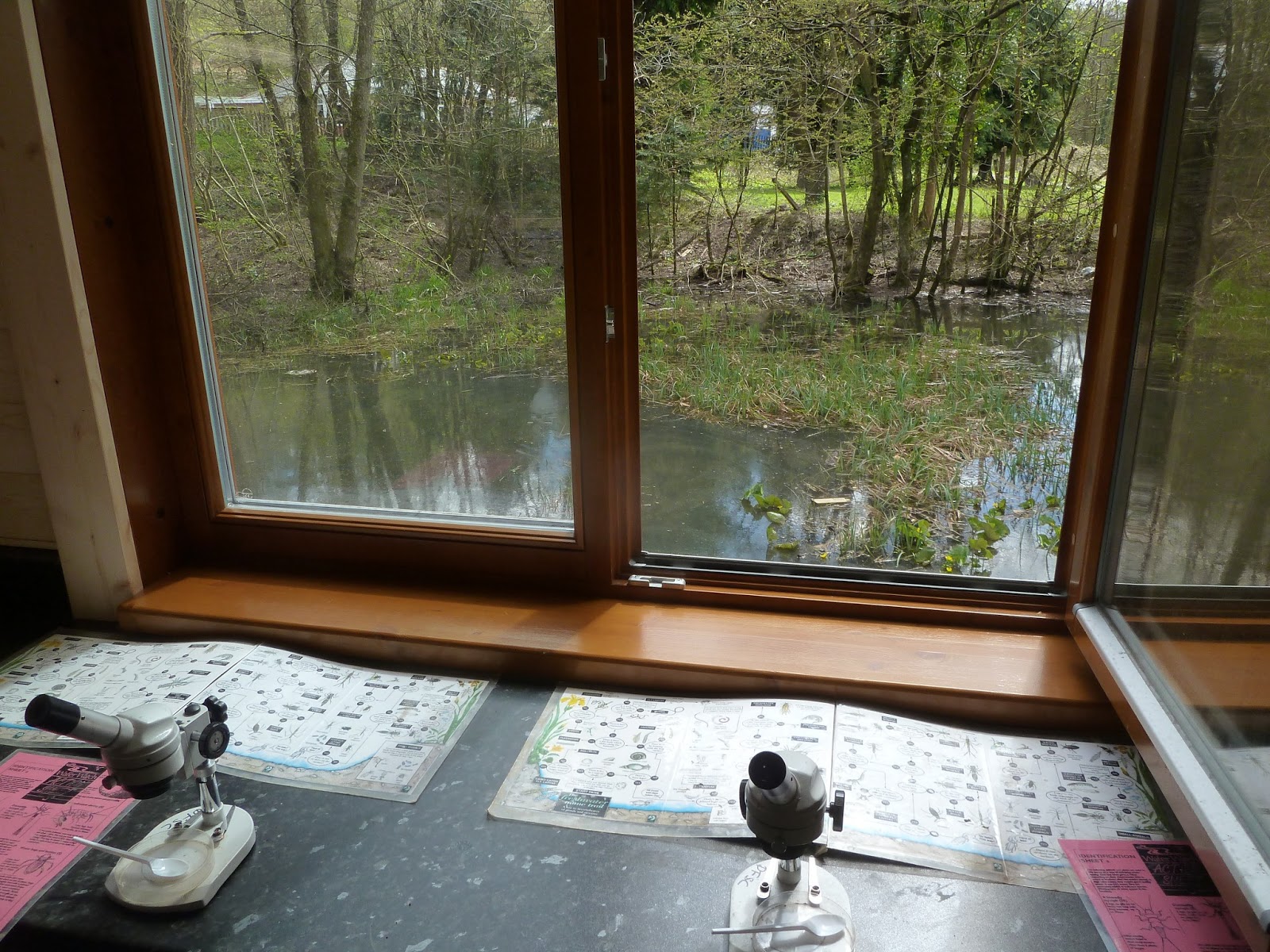 The Dean Field Studies Centre: April 2013