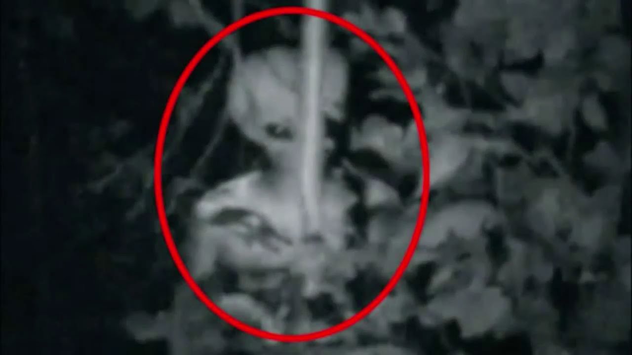 5 Real Alien Encounters