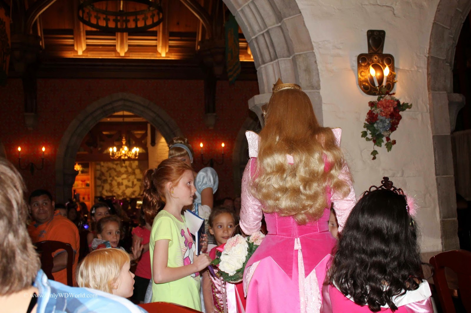 Review Of Storybook Princess Dining at Akershus Royal Banquet Hall ...