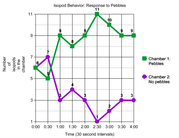 Honors Biology : Isopod Behavior: Response to Pebbles