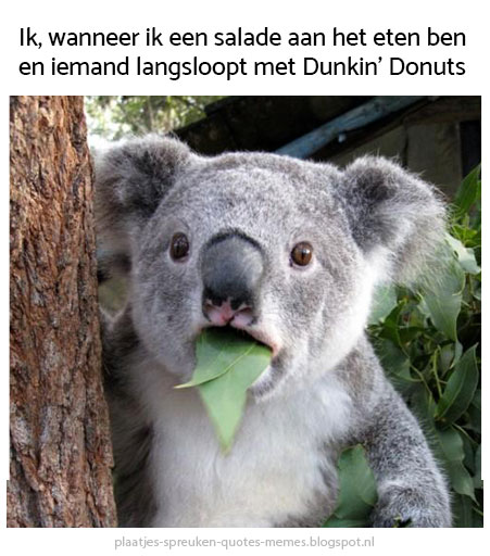 Plaatjes met grappige quotes en afbeeldingen met mooie spreuken om te ...