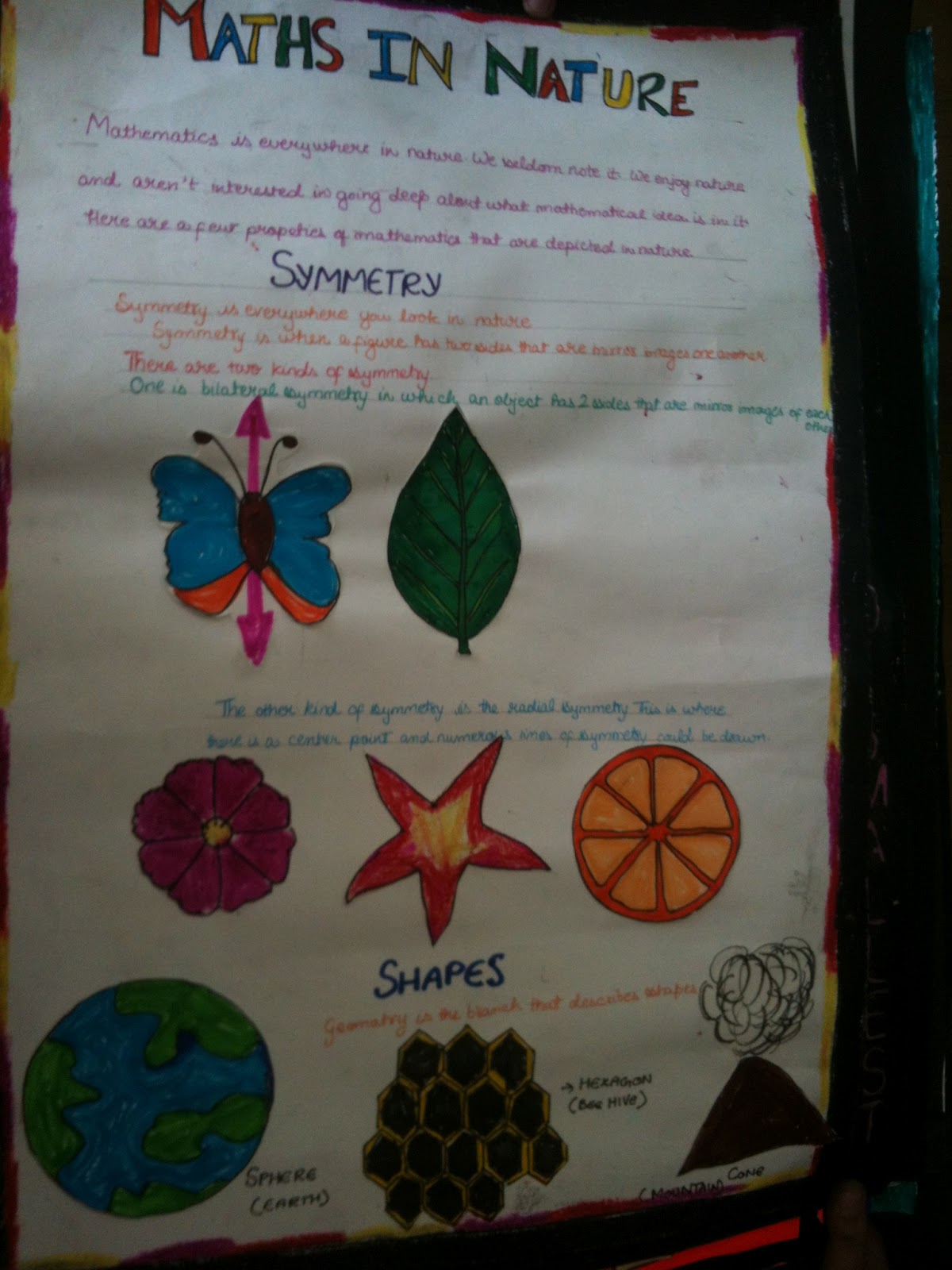 Bbps (Bal Bharati Public School), Rohini: Maths in Nature - Maths ...