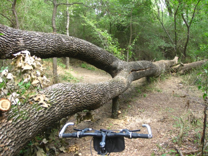 Durango Texas: Sticky Trails With A Fallen Tree Led Me To The Gateway ...