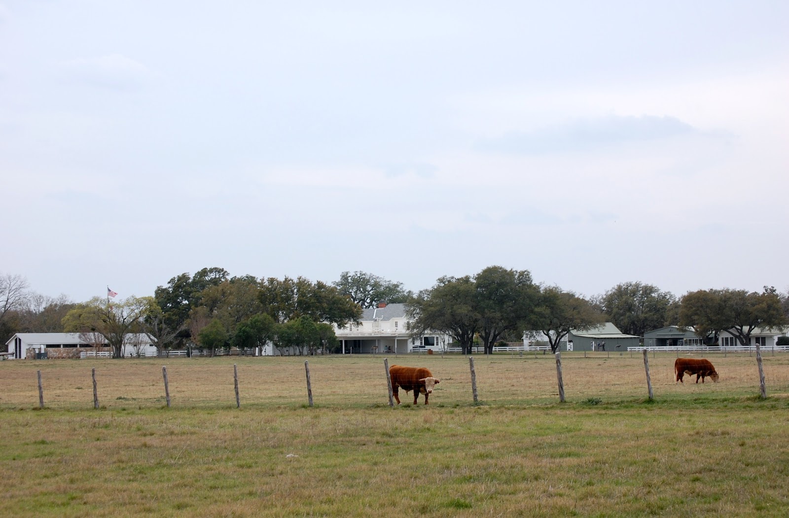 Postcards From Pam and Larry: LBJ Ranch