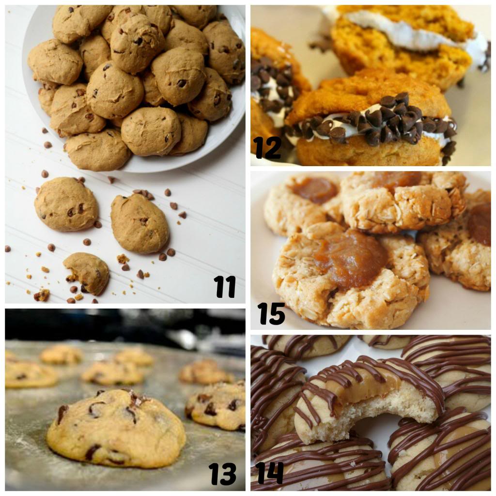 25 Must Try Cookie Recipes