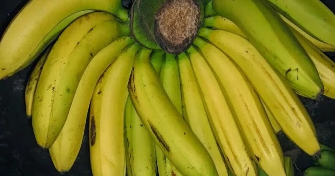 Mengenal Macam-Macam Jenis Buah Pisang