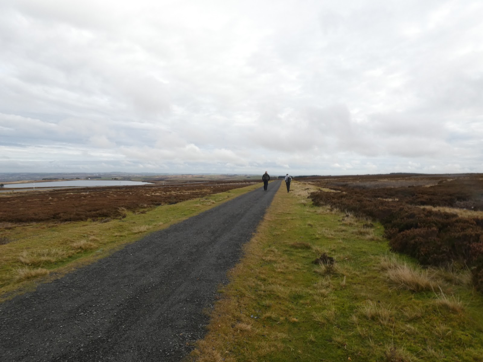 Boz North's Trail - Walking Blog: Waskerley Way - Hownsgill Farm to ...
