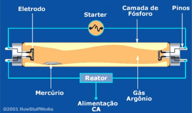 Ciências&Viver: Como funcionam as lâmpadas fluorescentes