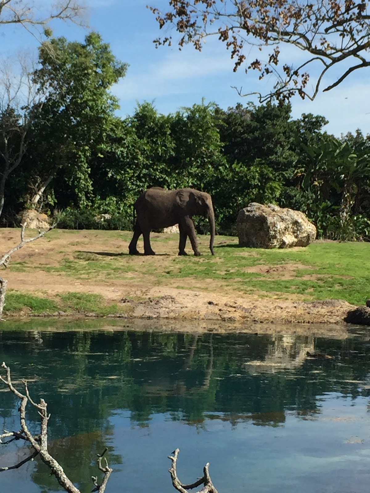 The Great Family Adventure: Conservation, Historic Preservation, and ...
