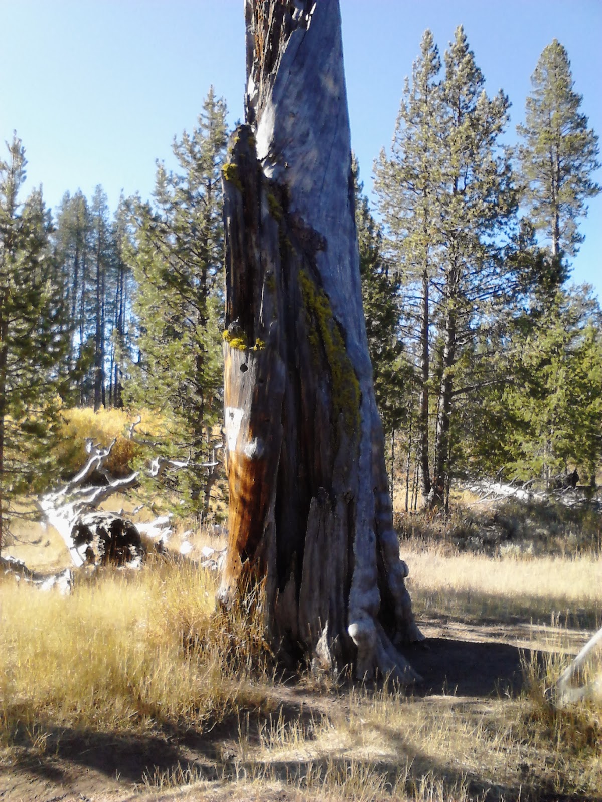 World of Mailman: Shelters of the Donner Party