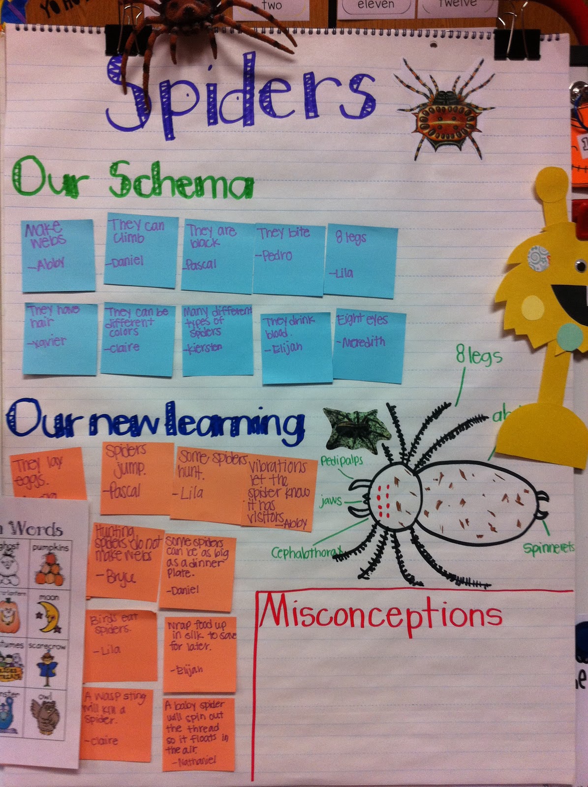 Welcome to Room 36!: spiders!