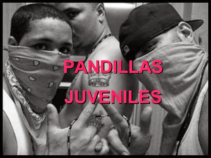 Desarrollo Psicosocial en la Adolescencia: pandillas en adolescentes