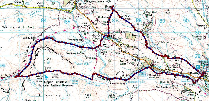 northern pies: Best of Teesdale Walks