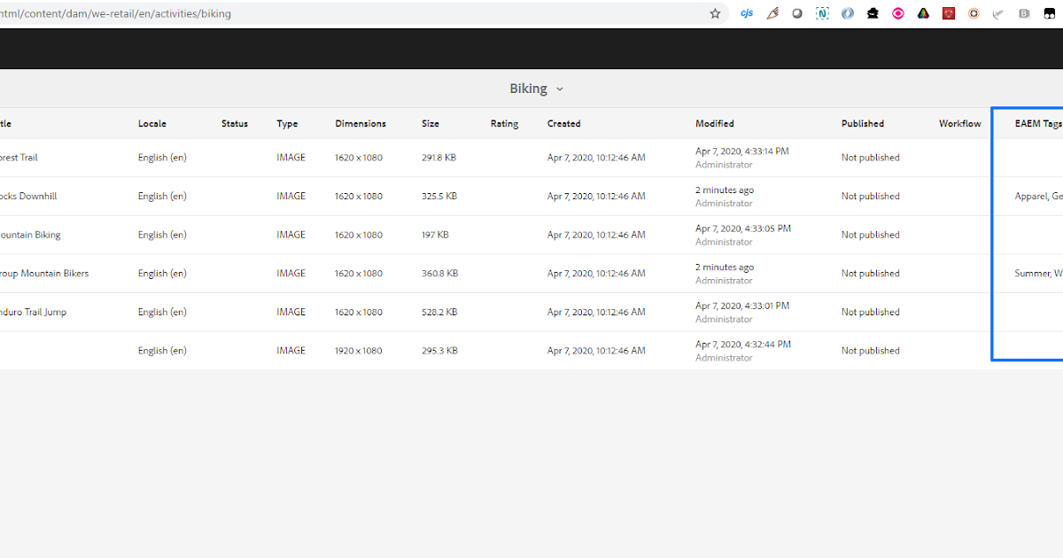 Experiencing Adobe Experience Manager (AEM, CQ): AEM 6550 - AEM Assets ...