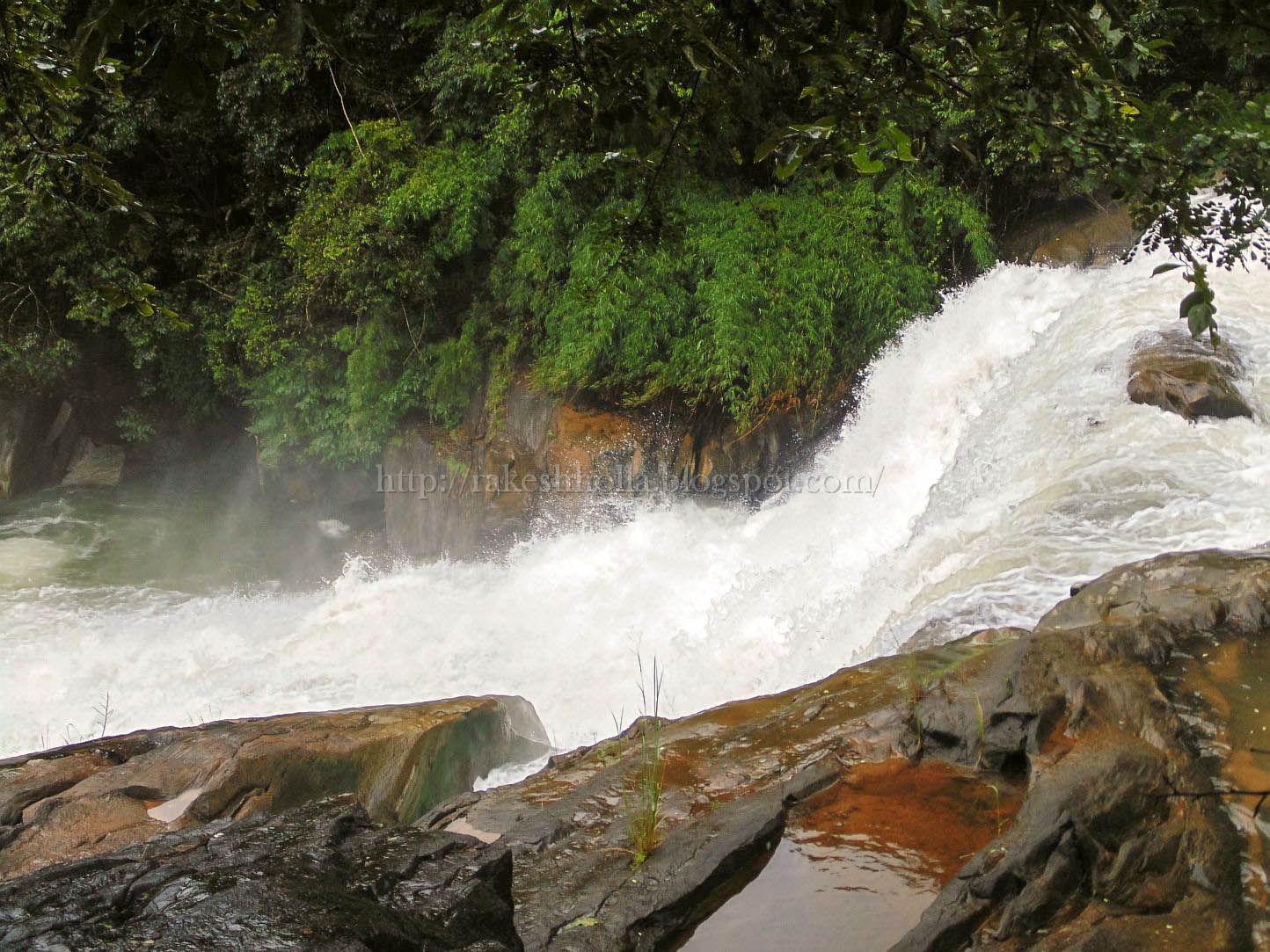 The Voice of Greenery - Trekking and Travelling in Western Ghats ...