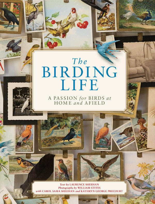 Chatting with author Carol Sheehan, "The Birding Life"