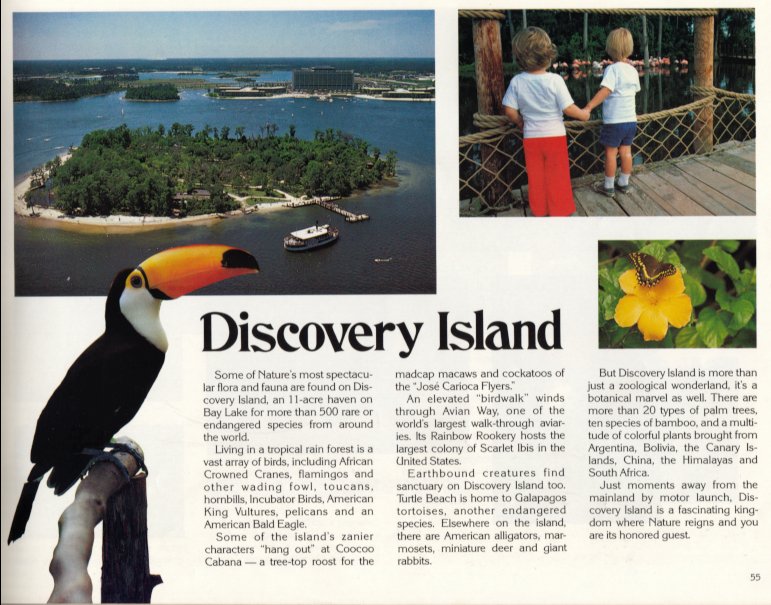 Modern Day Ruins: Disney's Discovery Island