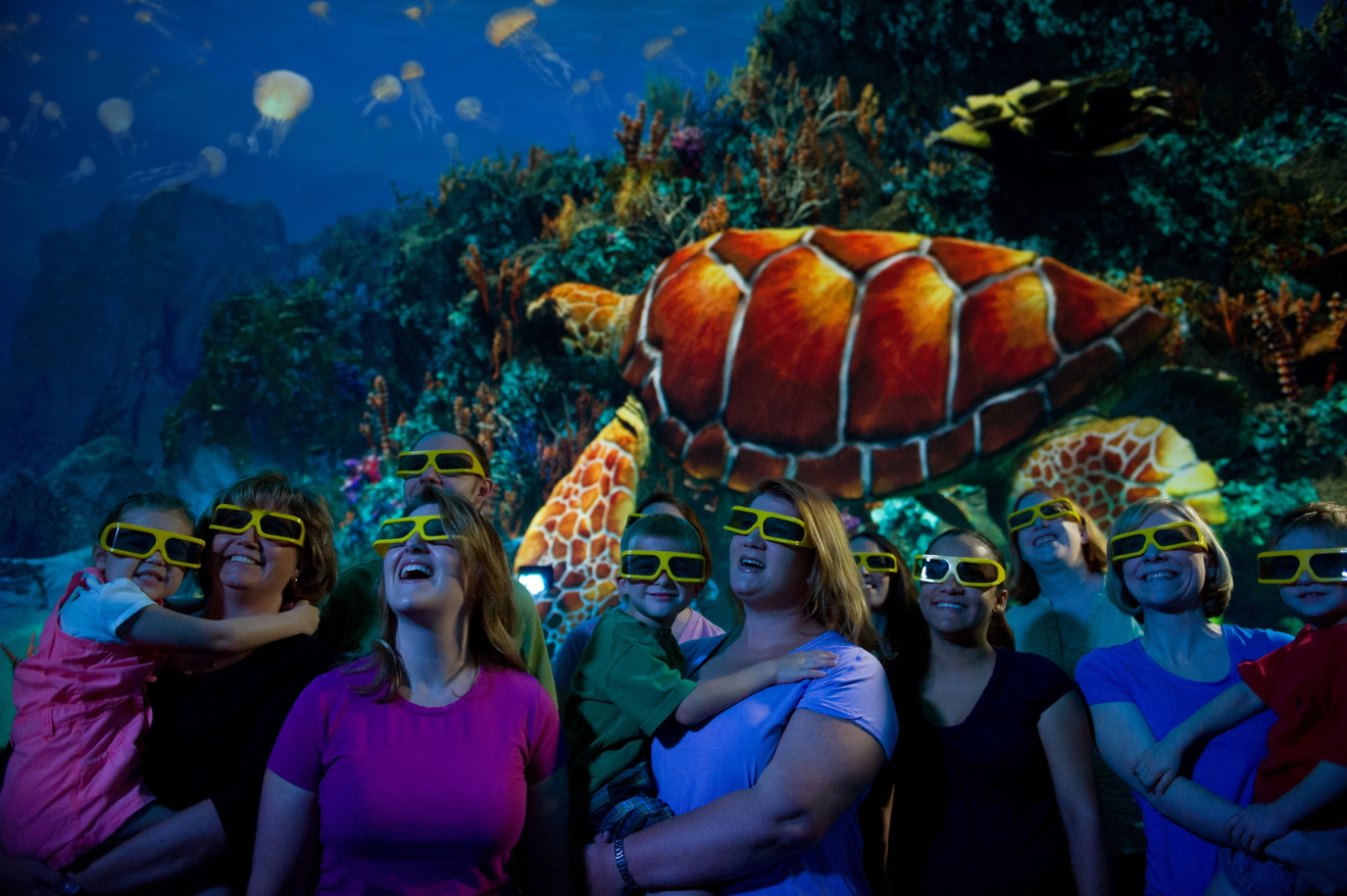 NewsPlusNotes: SeaWorld Orlando Opens Turtle Trek