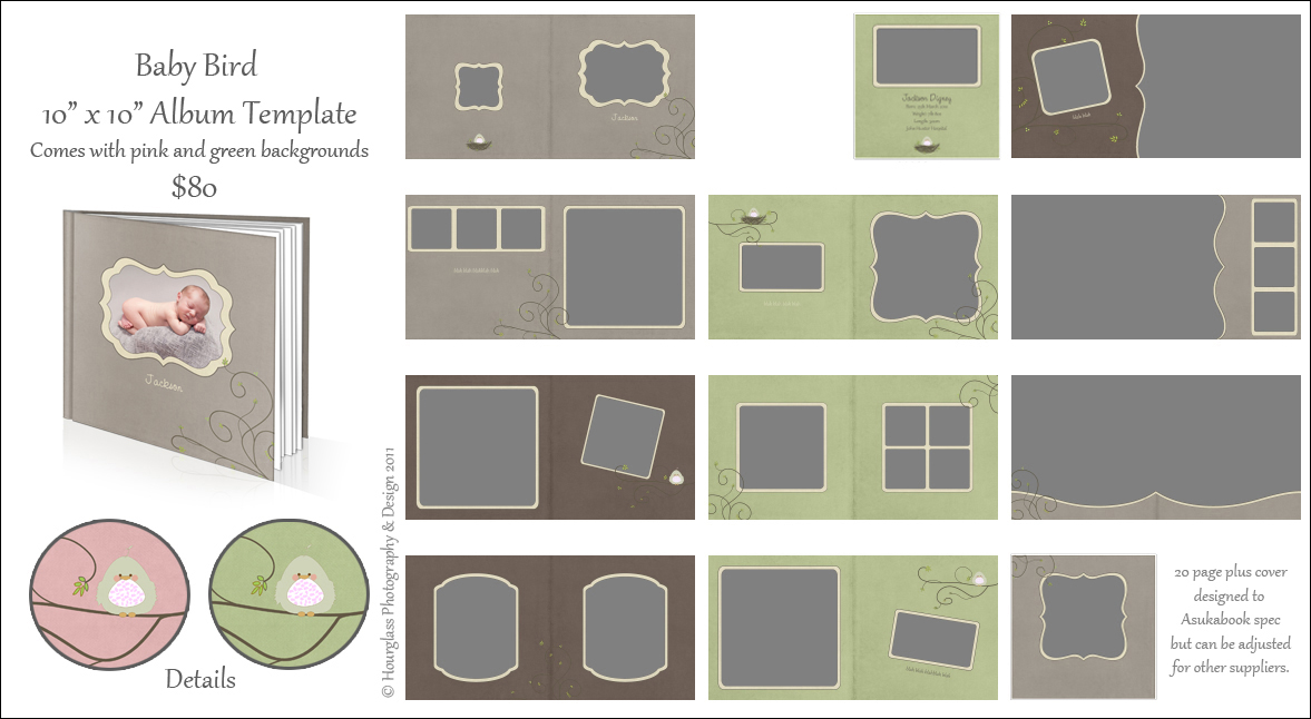 Hourglass Photography & Design: Baby Bird Template