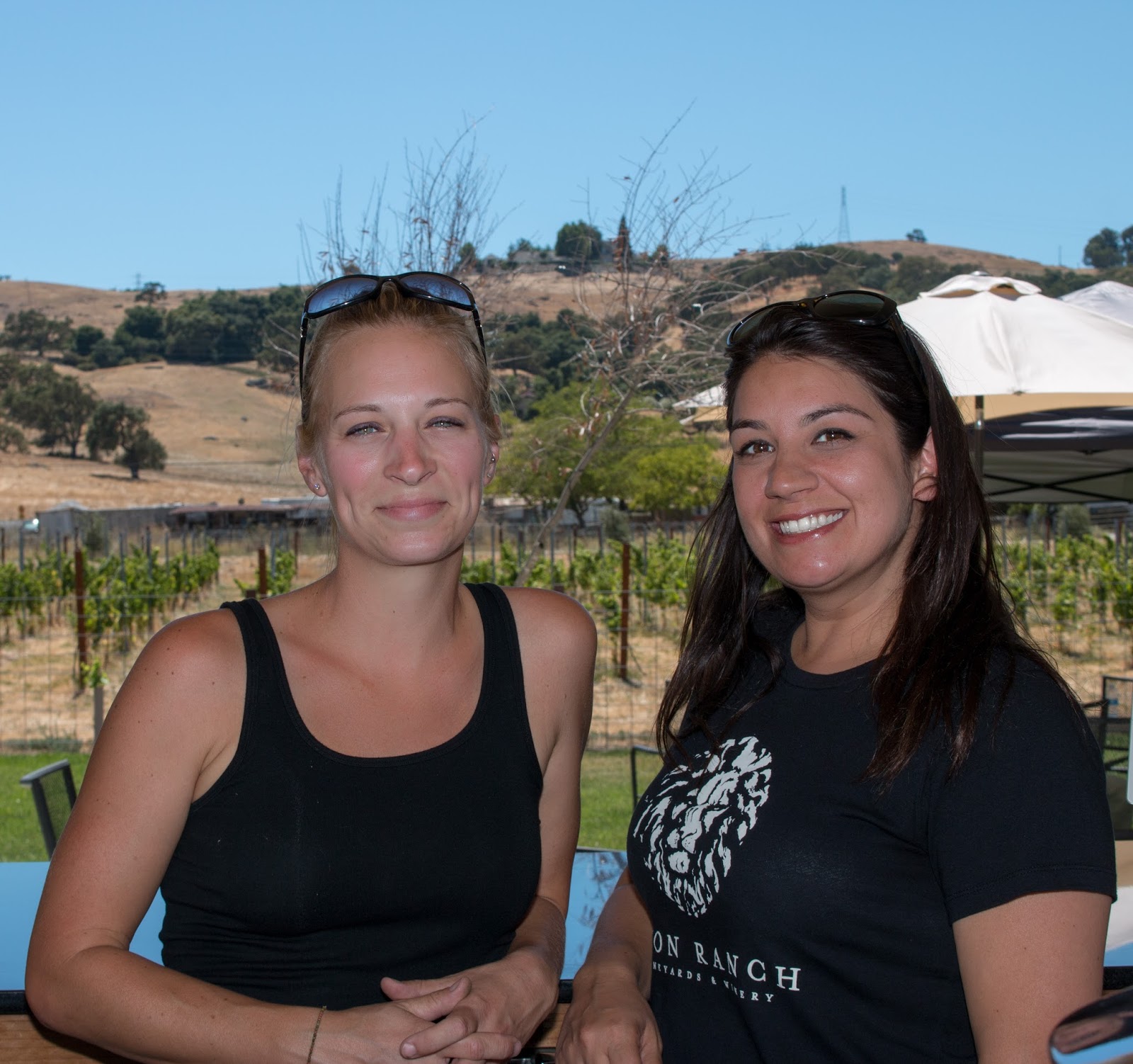 Santa Cruz Mountains and Santa Clara Valley Wines