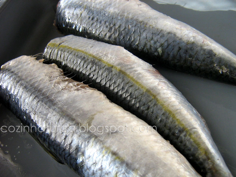 Cozinha Turca: Savelha ou Saboga (Tirsi)