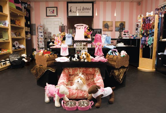 EveryThing Yours: Pet Boutique