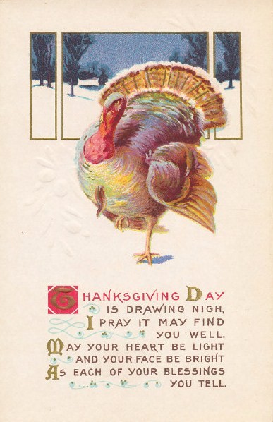 Nothing But Limericks: Thanksgiving Day Turkey Limerick Poem Postcard