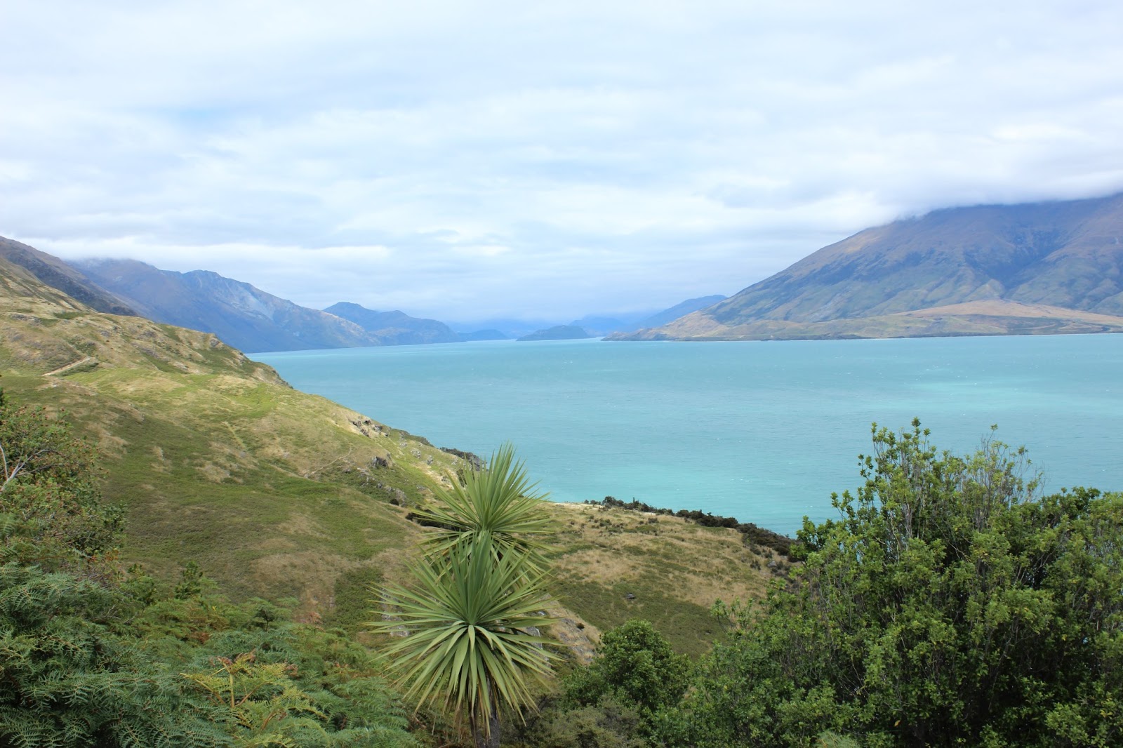 Vores rejse til New Zealand: Lake Paringa 24-25. januar