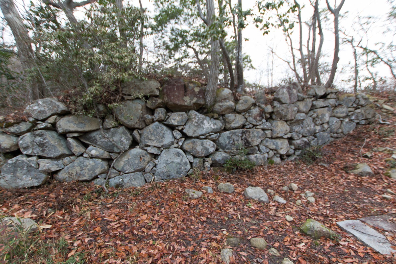 Kannonji Castle -History of warlord next to capital (2) economic ...