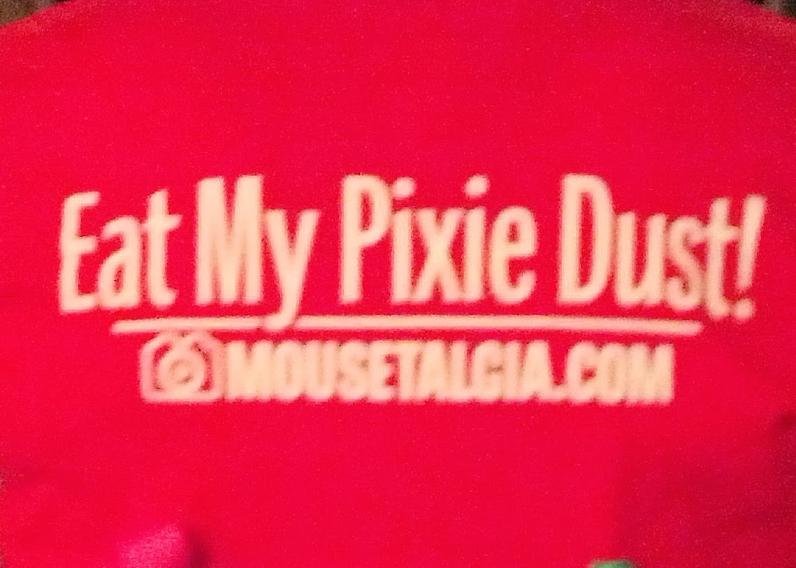 Never Enough Disney...: Inaugural Tinker Bell 10K - Race Recap