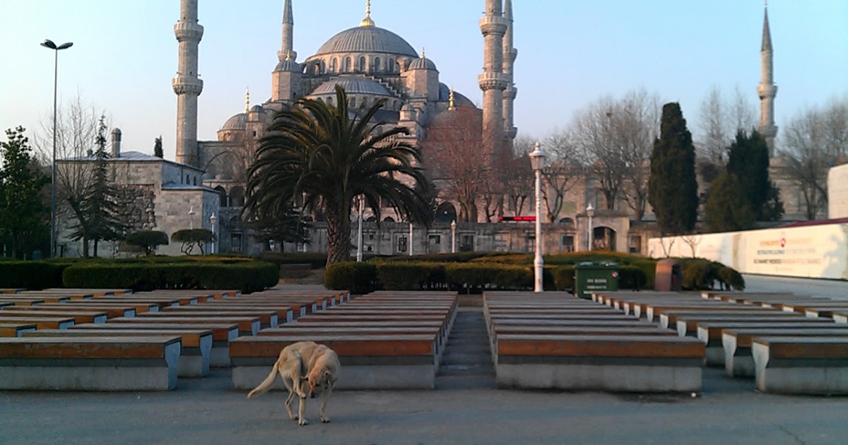 Running Routes: Istanbul Sultanahmet Running Route