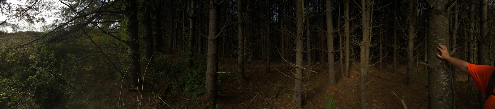 Strange Maine November 2018 strange-maine-november-2018