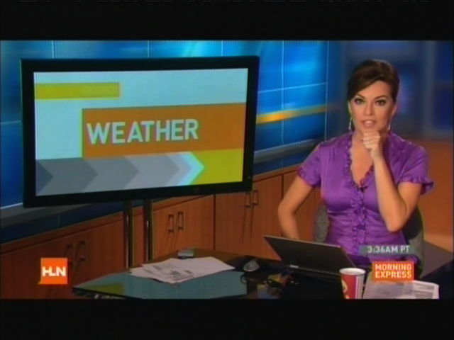 Ladies in Satin Blouses: Robin Meade - purple satin blouse