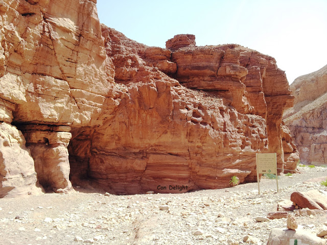 Con DeLight עם תענוג - אוכל, טיולים ועוד: A day trip in the red canyon