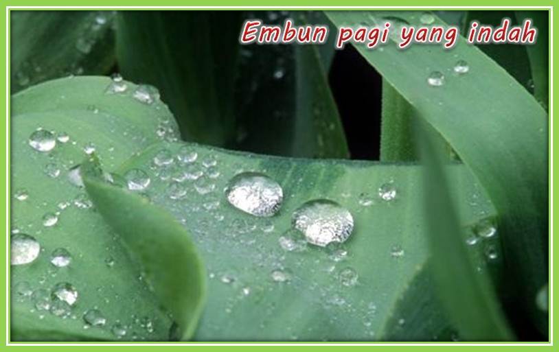 Perubahan Wujud Dalam Kehidupan Sehari-hari - GURU IPA PATI