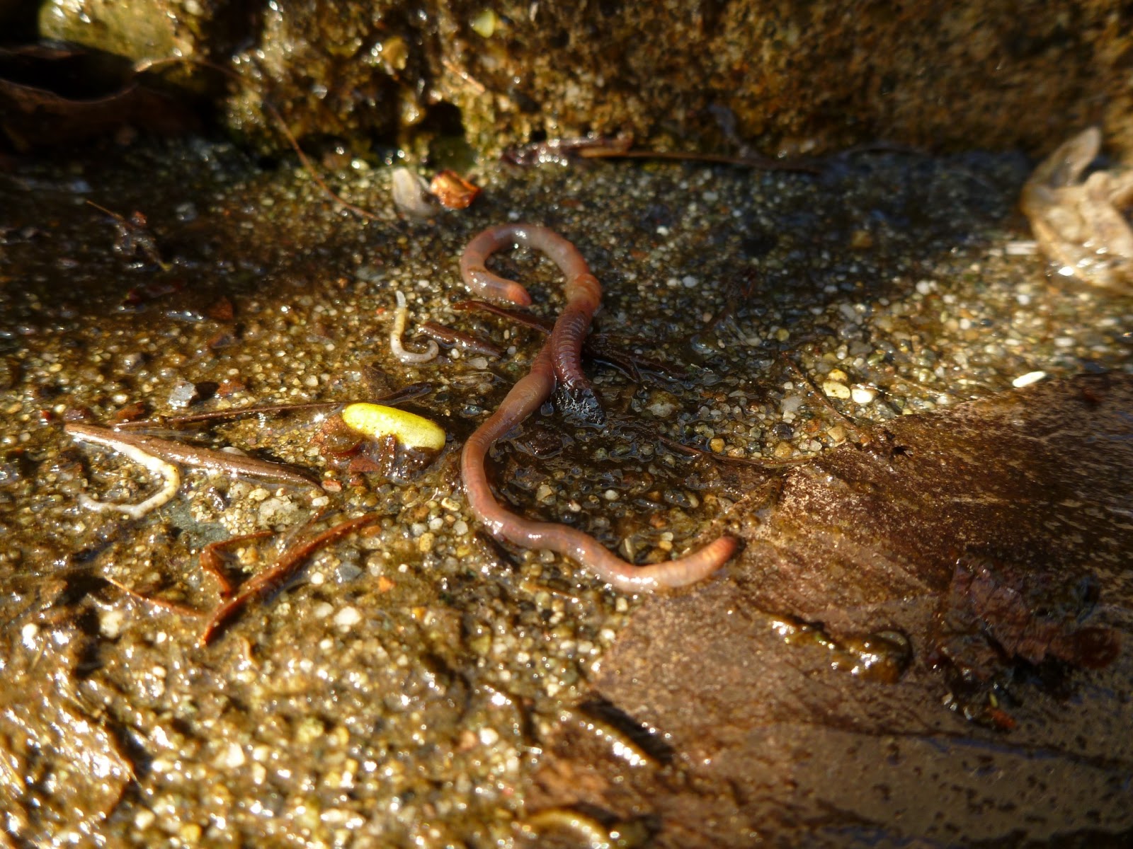 TravelMarx: February 2013