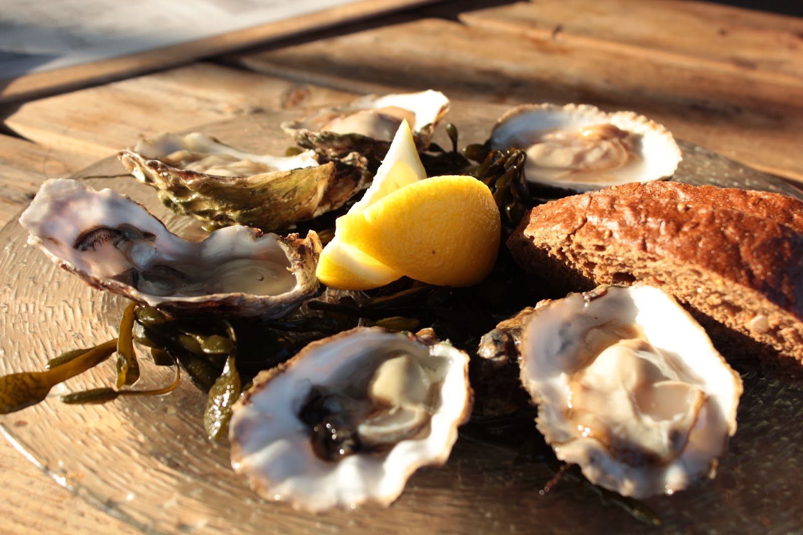 Monica's Cheddar Cheese Popcorn: Restaurants in Yerseke and Middelburg ...