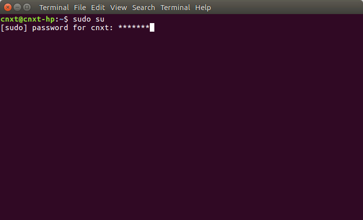 How to make Password Visible as Asterisks in Terminal Window in Linux