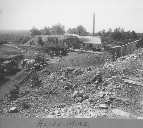 Ozarks' History: Mining in Ozark County, Missouri
