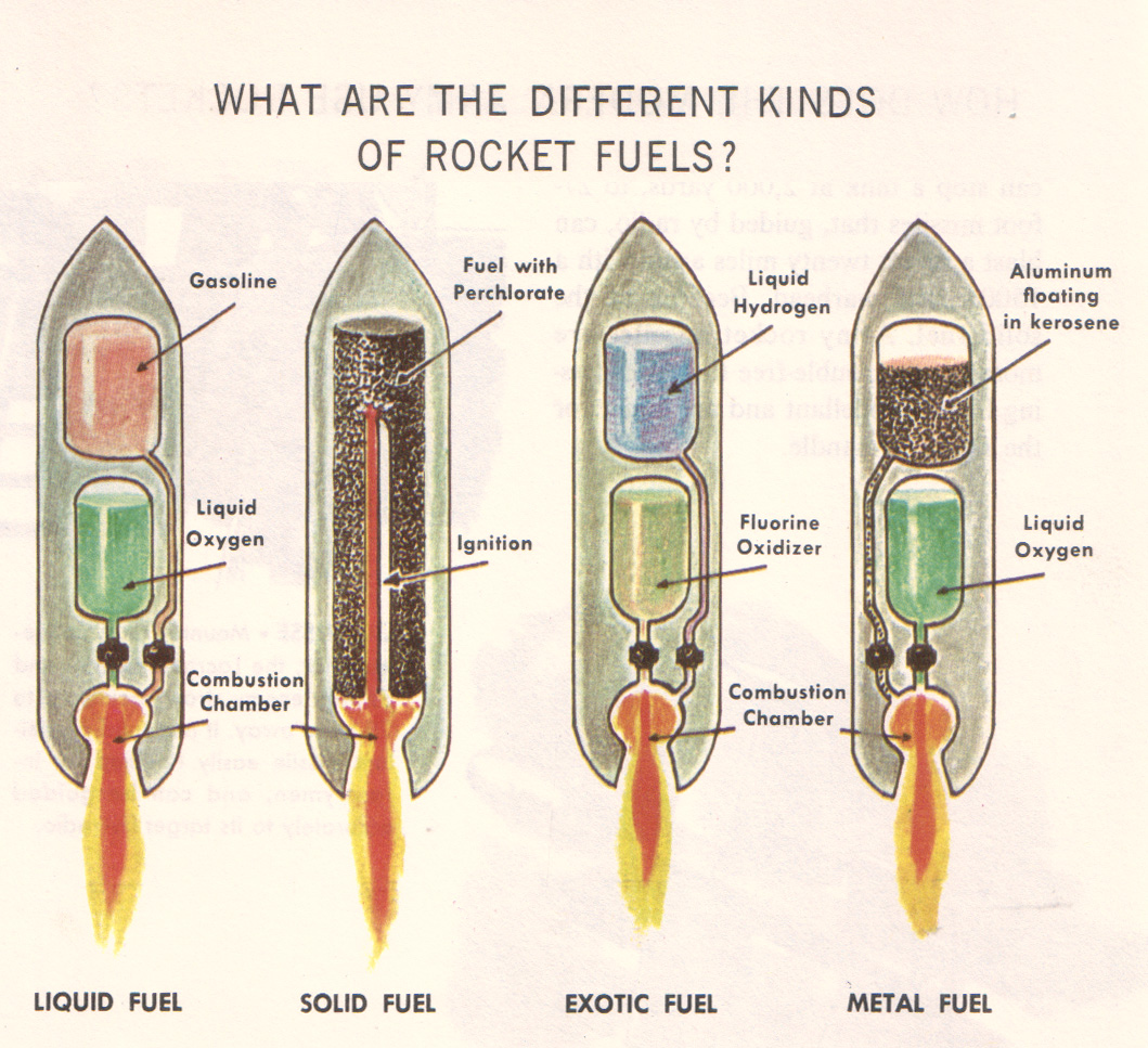 New Dork Post: Science Saturday