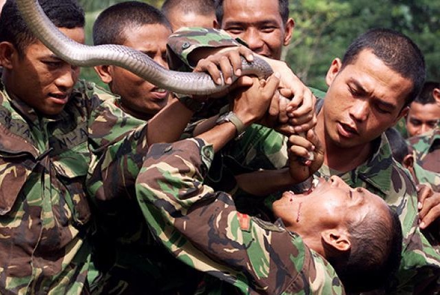 Inilah TONTAIPUR. Pasukan Elite, Laksana HORNET Raksasa Yang Mematikan ...