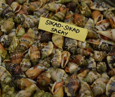 Anim Agro Technology: SIKAD-SIKAD : MAKANAN LAUT